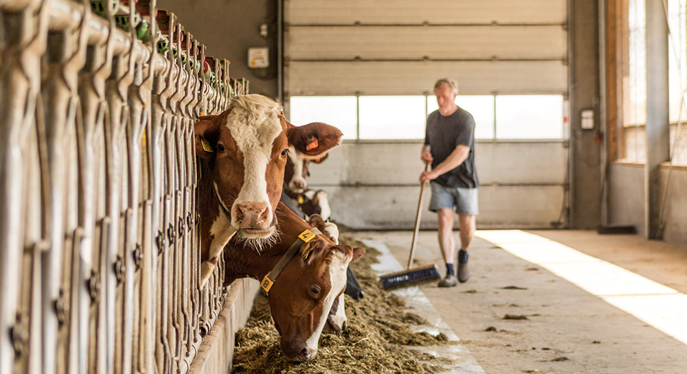 "CowManager heeft al een paar keer een koe gered" - CowManager NL